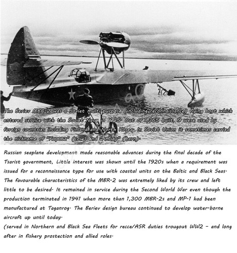 Cafereo 1/144 bigbird 5 MBR-2bis (Be-2) Flying boat Black Sea Fleet ...