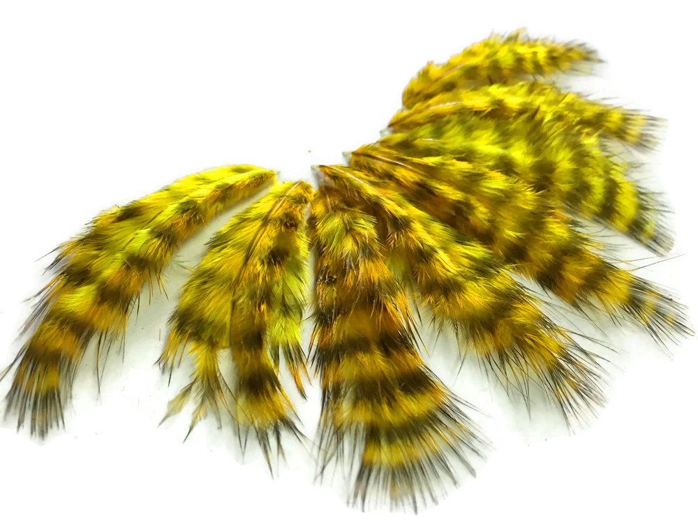 1 Dozen - Yellow Grizzly Mini Rooster Chickabou Fluff Whiting Hair ...