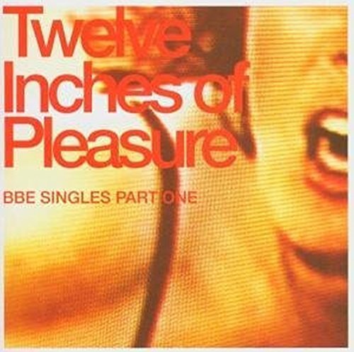 Twelve Inches of Pleasure (CD) Album 730003105128 | eBay Australia