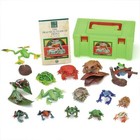 Colorata Frogs Real Figure Box | eBay