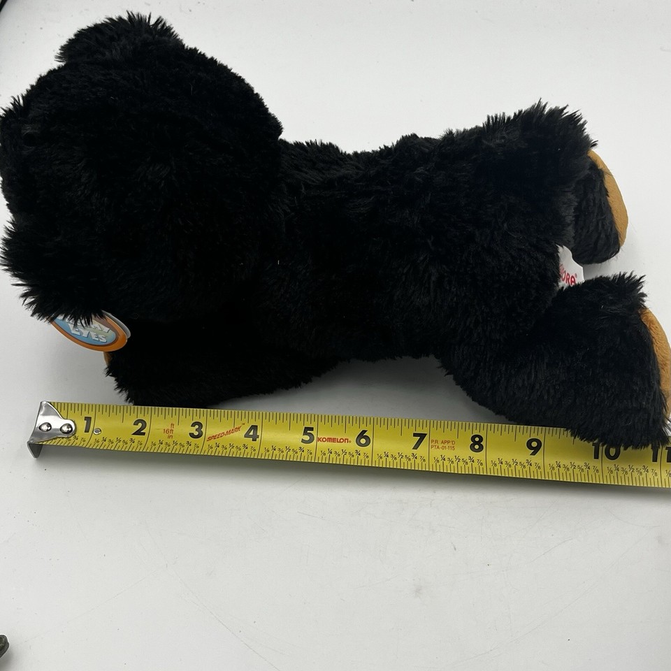 Aurora Dreamy Eyes Barnam Black Bear Plush Stuffed Animal Toy Super ...