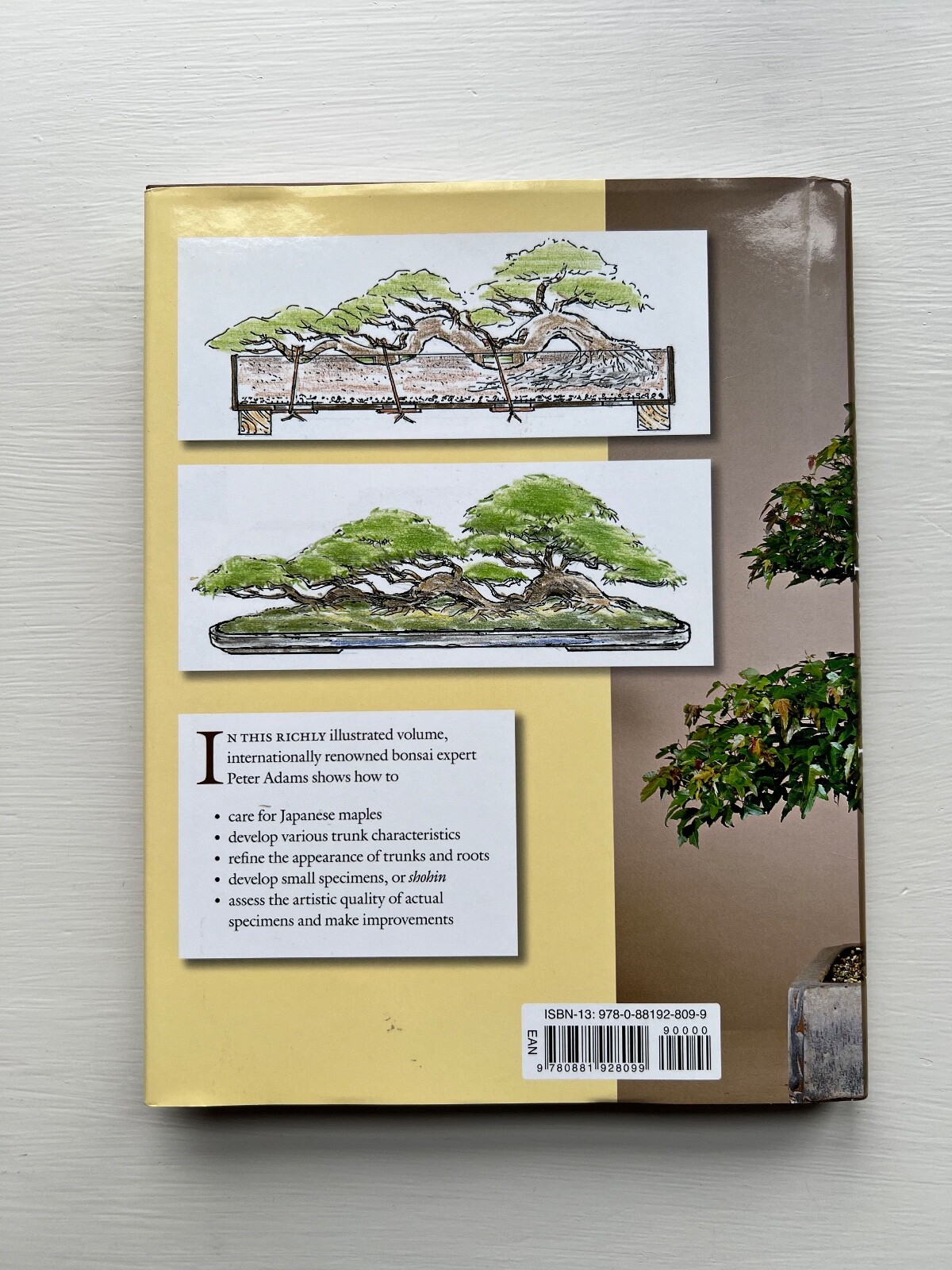 Bonsai with Japanese Maples by Peter D. Adams (Hardcover, 2006) for ...