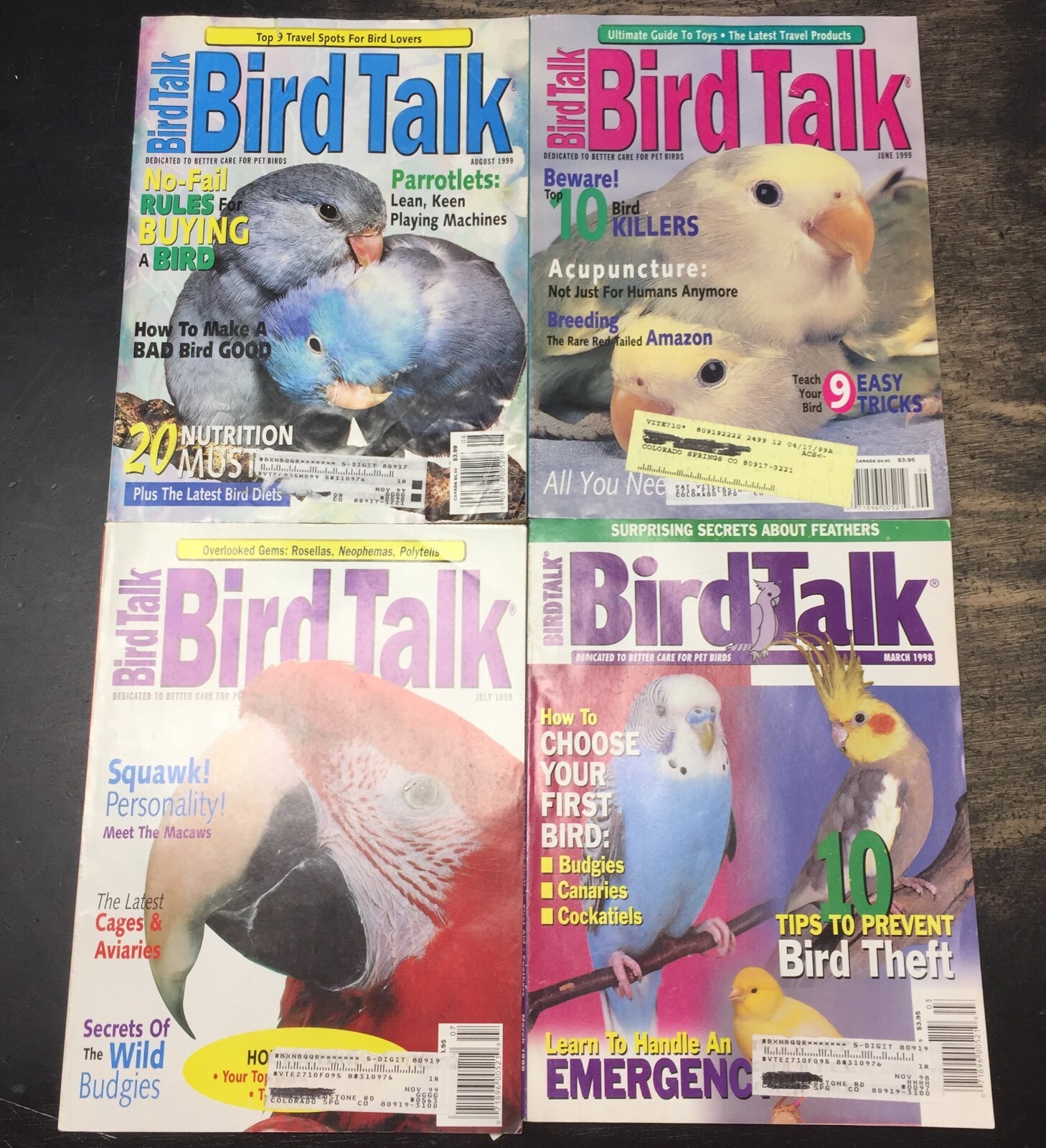 Lot of 8 Bird Talk Magazines SC Magazines 1996-1999 | eBay