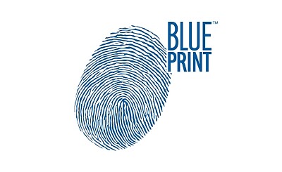 BLUE PRINT Zahnriemen Umlenk Führungsrolle Für LAND ROVER Defender ...