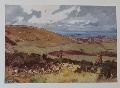LIONEL EDWARDS PORTMAN HUNT AT OKEFORD HILL - VINTAGE FOX HUNTING PRINT ...