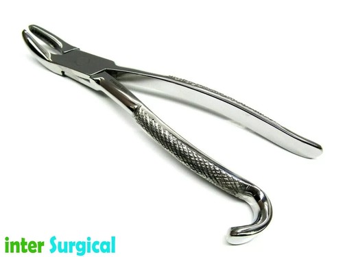 Equine Horse Dental Wolf Tooth Extractor Forceps 9.5″ Long Stainless ...