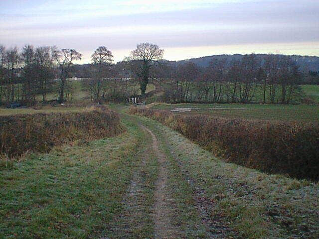 Photo 6x4 Track from Hardwick Wood nearing Brook Nether Moor/SK3866 ...