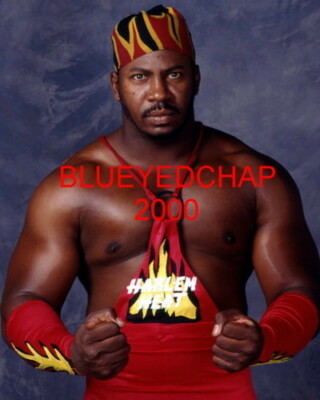 STEVIE RAY WRESTLER 8 X 10 WRESTLING PHOTO WWF WCW | eBay