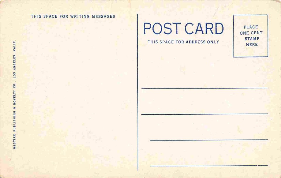 Water Skiing Casino Catalina Island California 1920s postcard | eBay