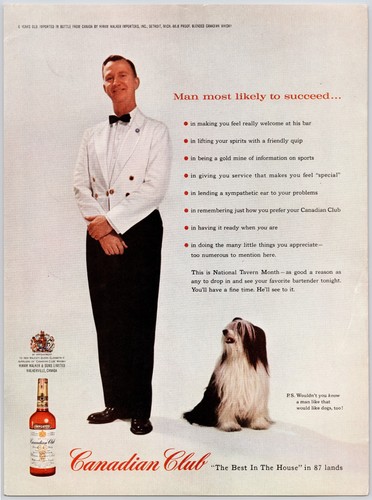 Canadian Club Whisky Bearded Collie Dog Bartender Bar Art Vintage Print ...