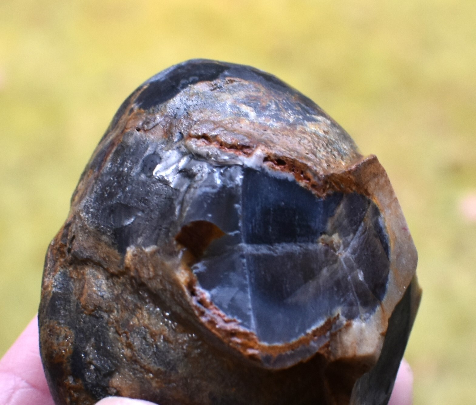 Thunder Egg Agate Whole from The Blue Ridge Mountains North Carolina ...