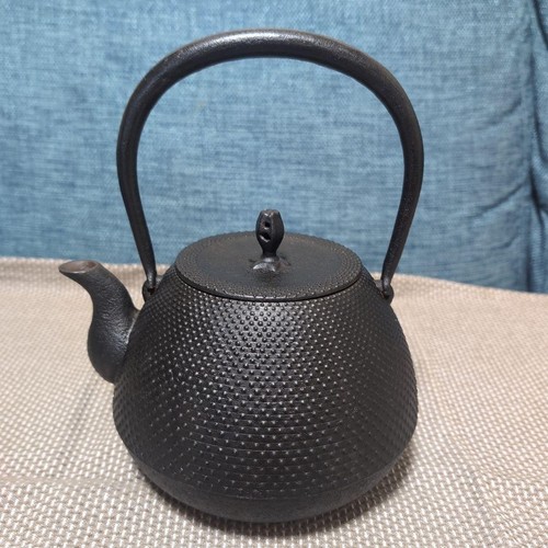 Kamadada Iron Kettle 1.2L Nambu Ironware Fall Fruit Used with Rust | eBay