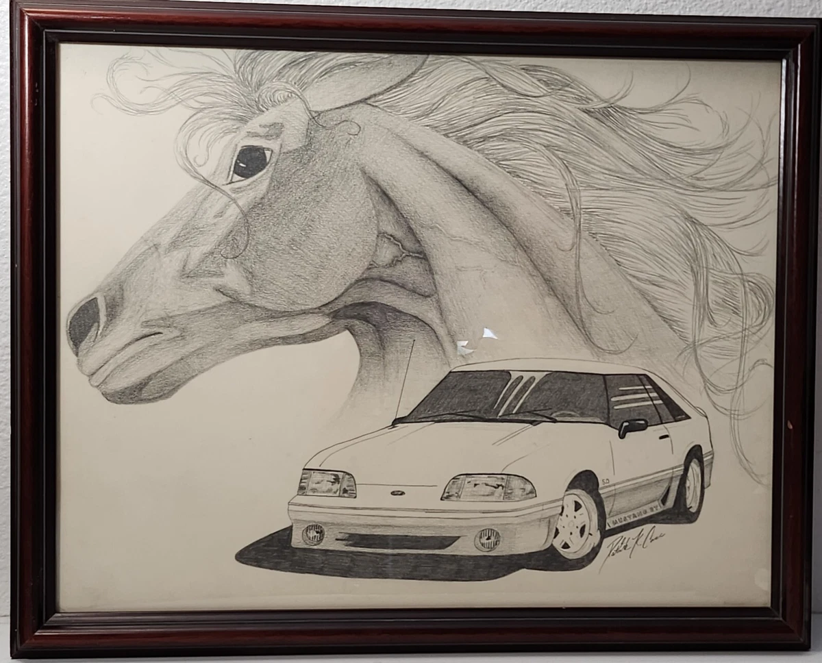 Mustang Horse Drawings In Pencil