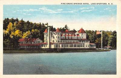 Lake Spofford New Hampshire Pine Grove Springs Hotel Antique Postcard ...