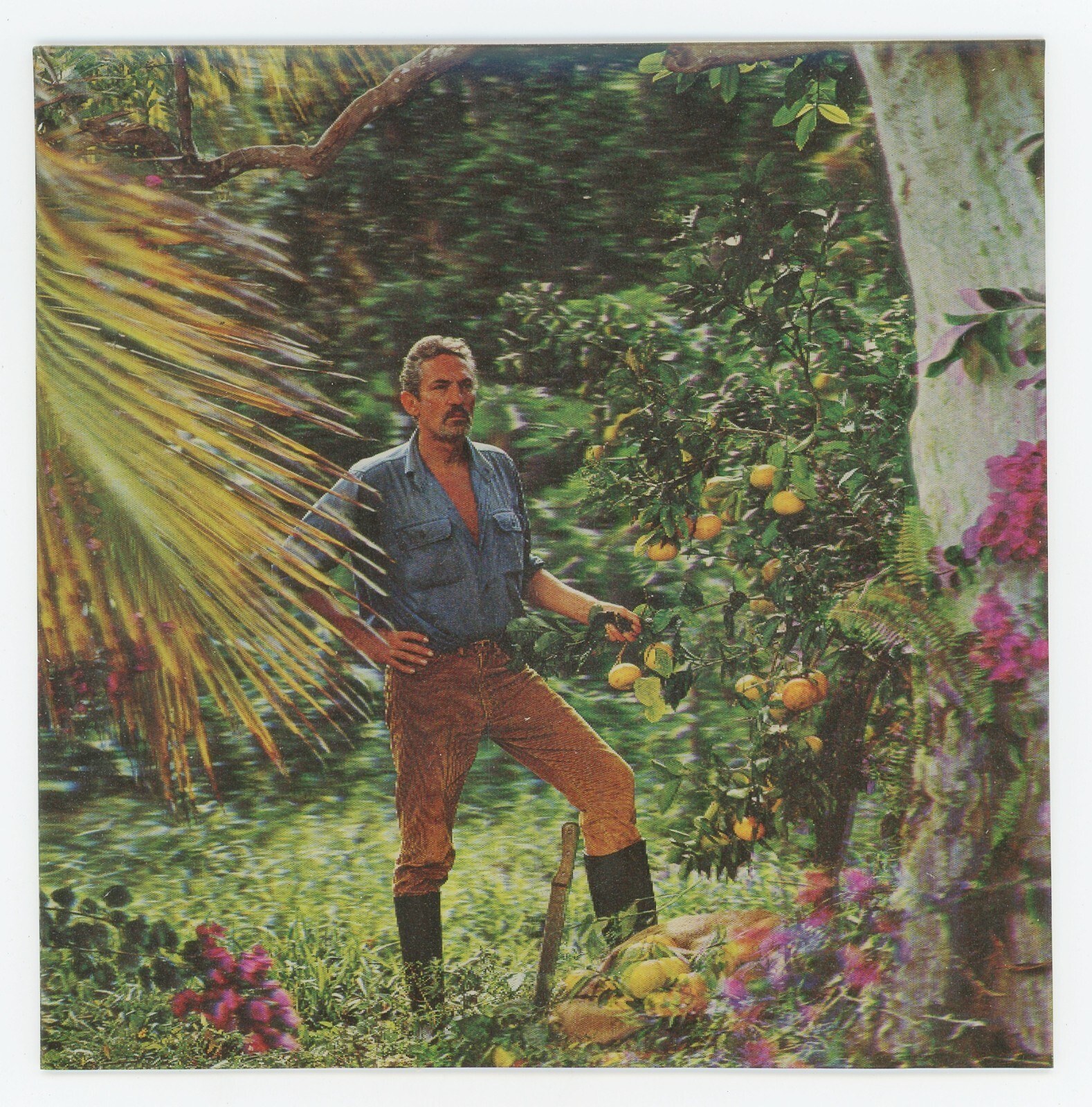 Jungle Explorer RARE 1960's Vari-Vue Lenticular 3-D Picture | eBay