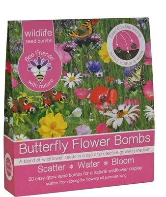 Butterfly Flower Seed Bombs Bee Friends 20 Pack Outdoor Garden Gift ...