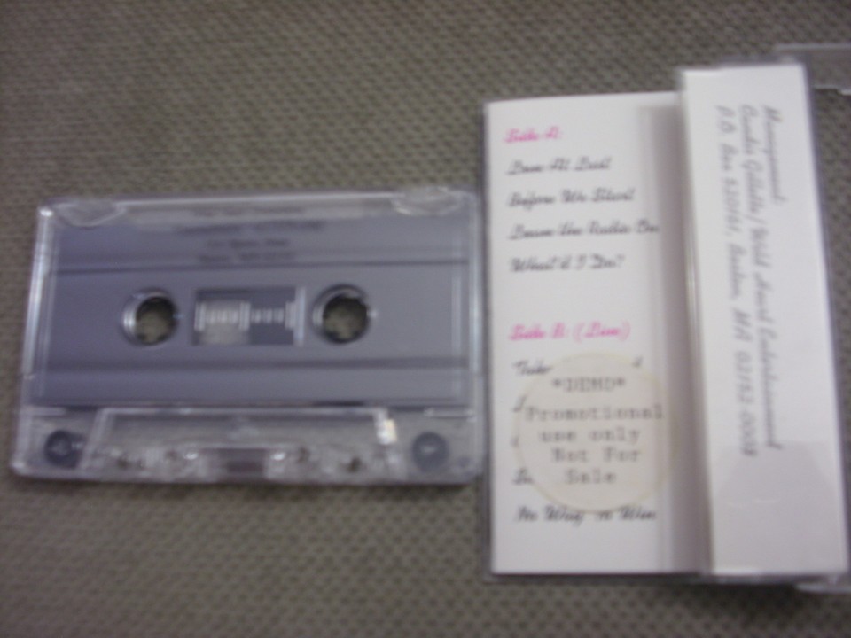 VERY RARE Nicki Skipper & A R A CASSETTE TAPE country Love At Last ...