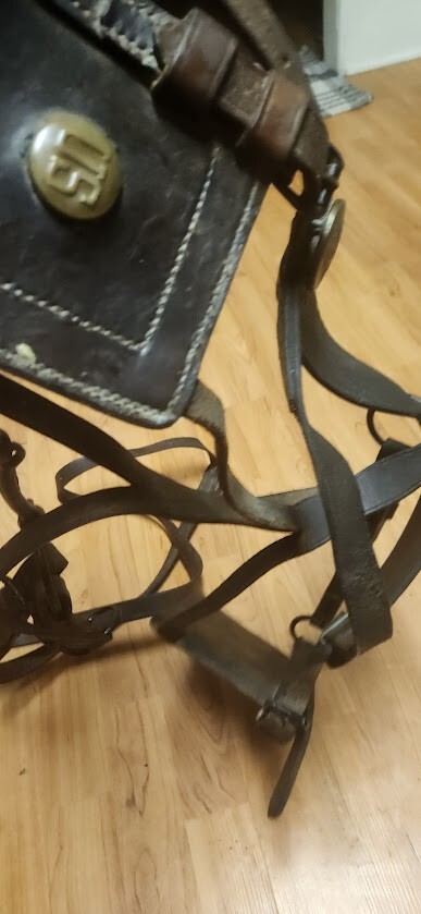 U.S. Cavalry Civil War Horse/Mule Blinders Bridle Harness Bit Rein | eBay