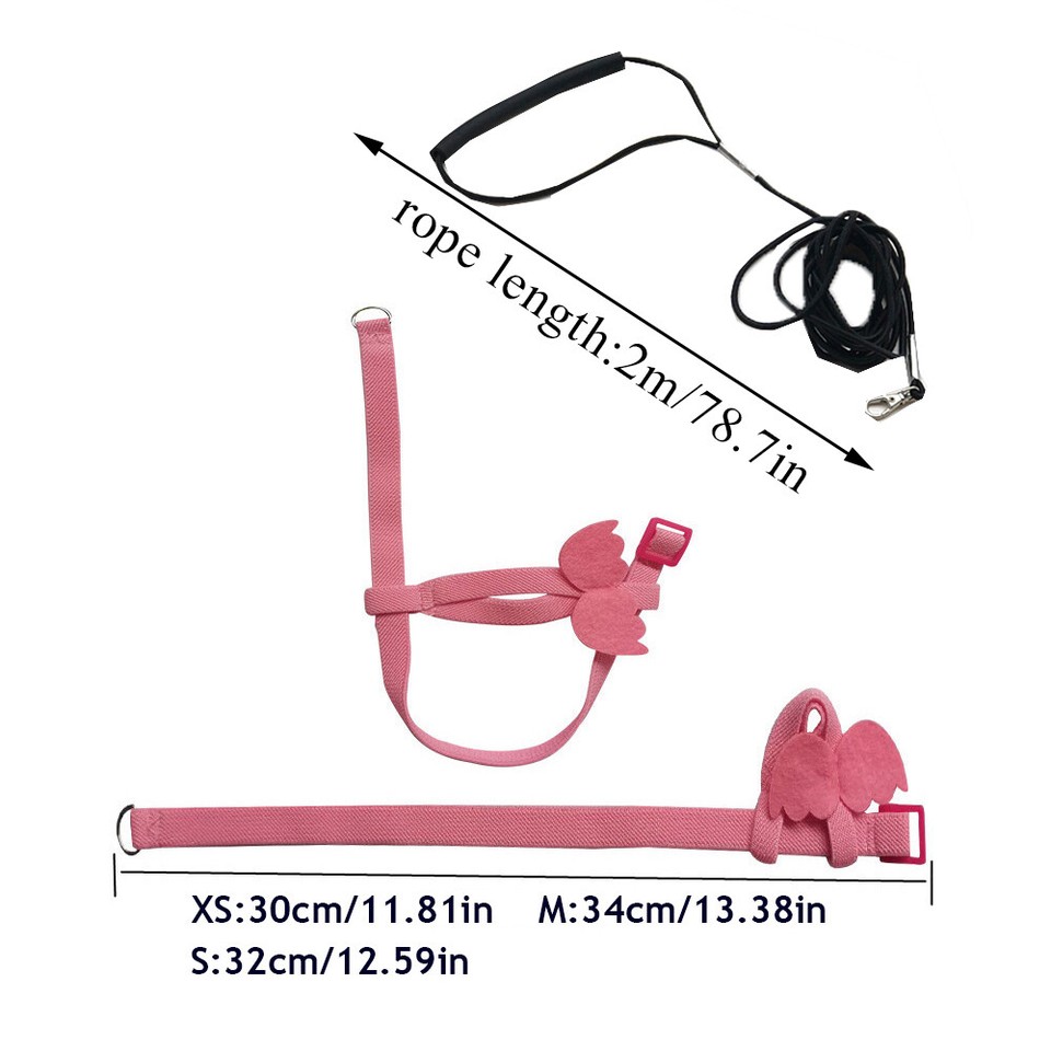 Bird Harness Leash Set Parrot Flying Rope Straps Outdoor Training for ...