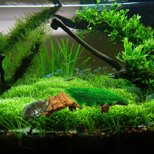 Turtle Floating Platform Basking Rocks Decorative Turtle Ramp Platform ...