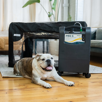 Buster ICU Cage - Pet Oxygen Chamber - For Large Animals | eBay
