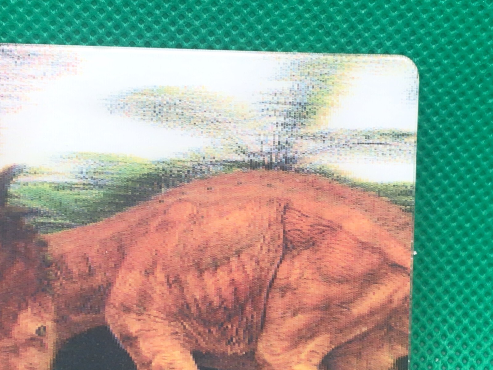 Styracosaurus Dinosaur 3D card 1999 Shinzen Takeuchi Japanese very rare ...