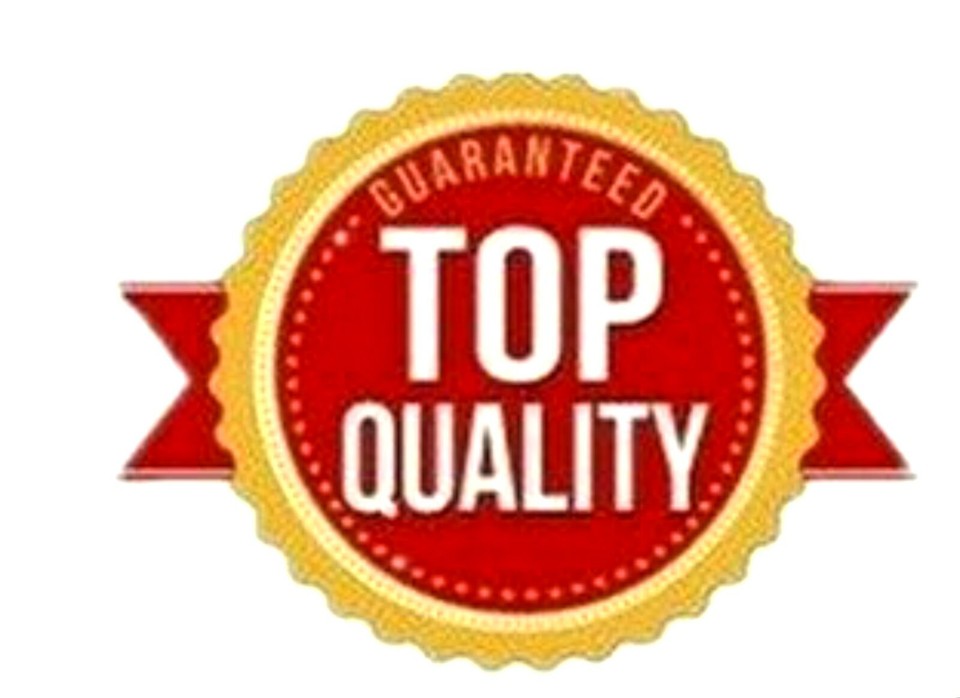 Imperial Roman Army Legion Crest Embroidered Patch Iron-On Caesar War ...