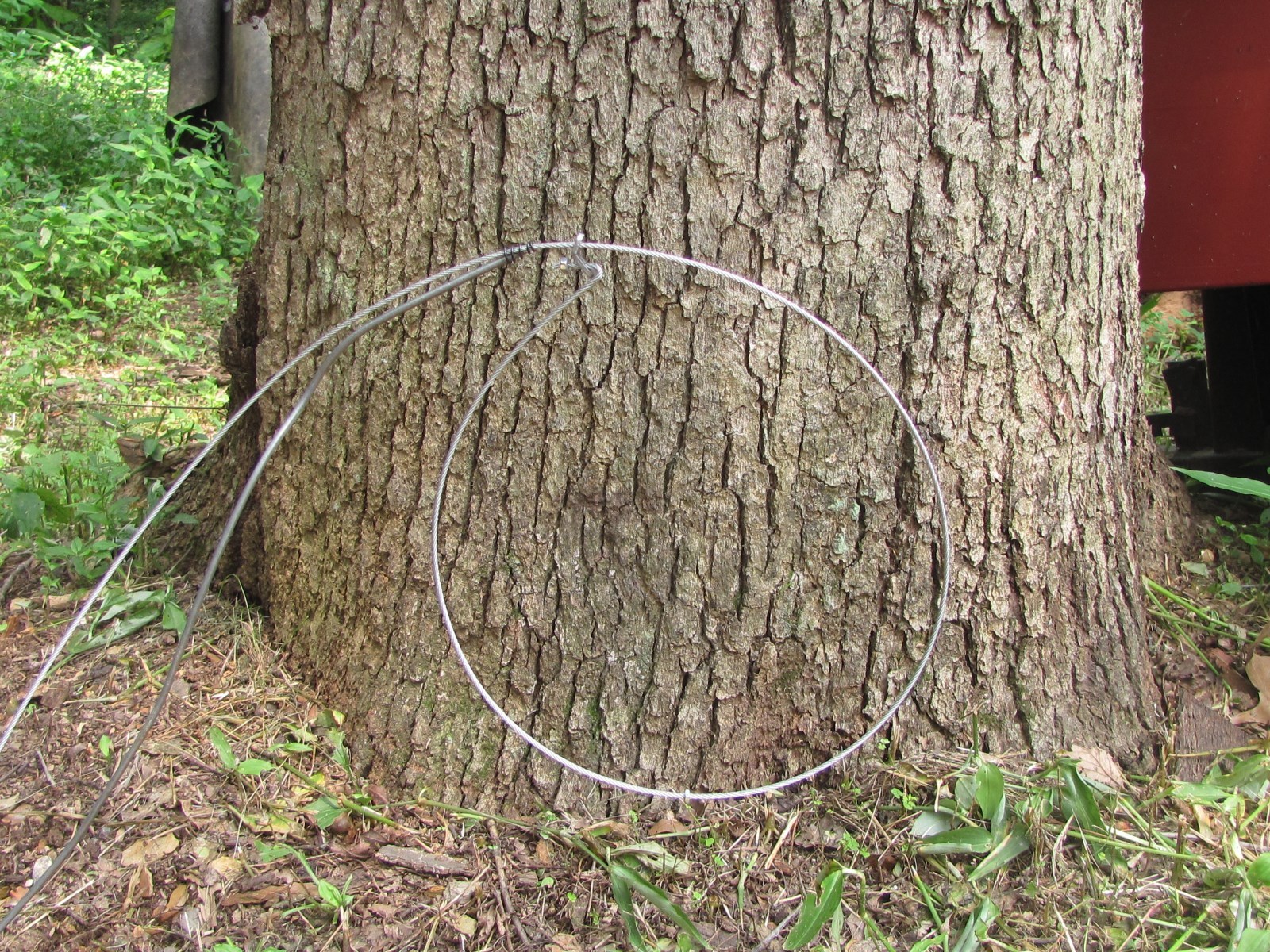 1 dz. 60" 3/32 Micro Lock with twist-on support collars Snares ...