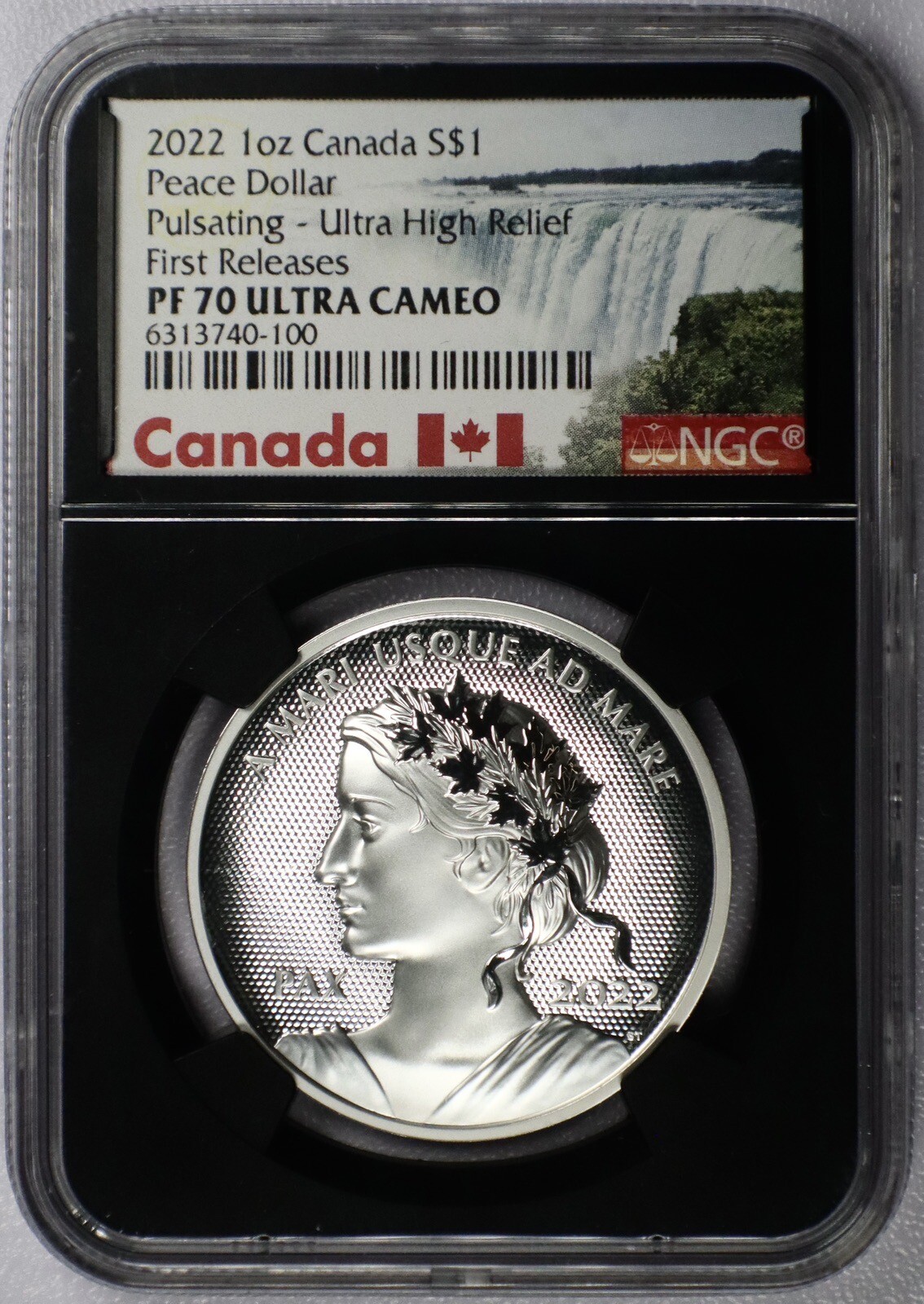 2022 $1 Canada Peace Dollar 1 oz. Pulsating - Ultra High Relief - NGC ...