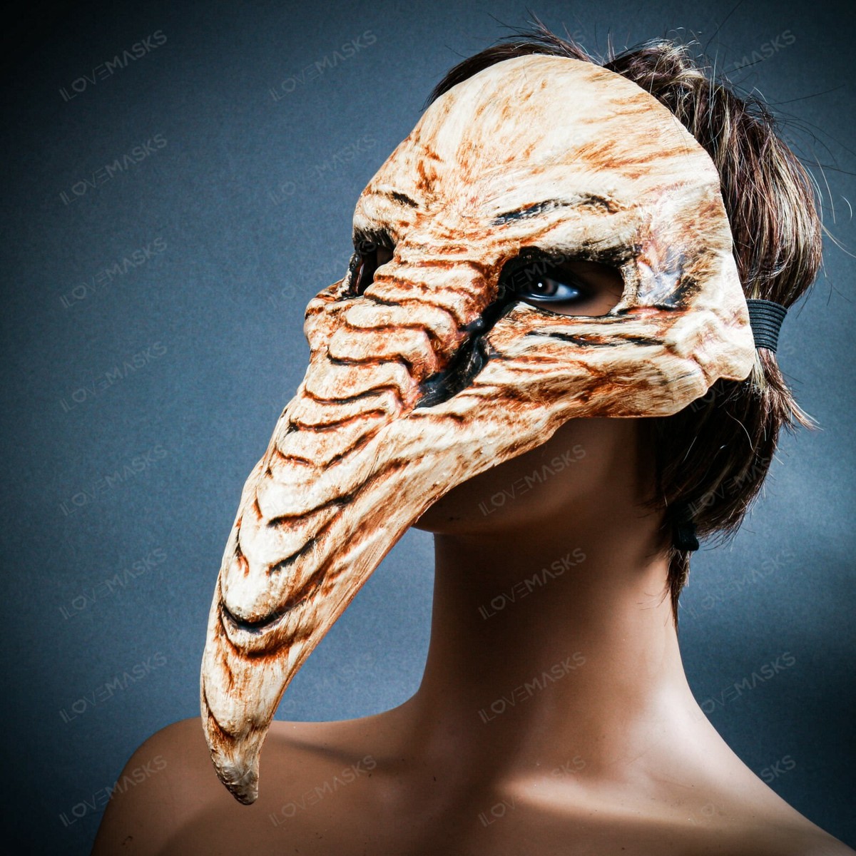 Crow Skull Mask