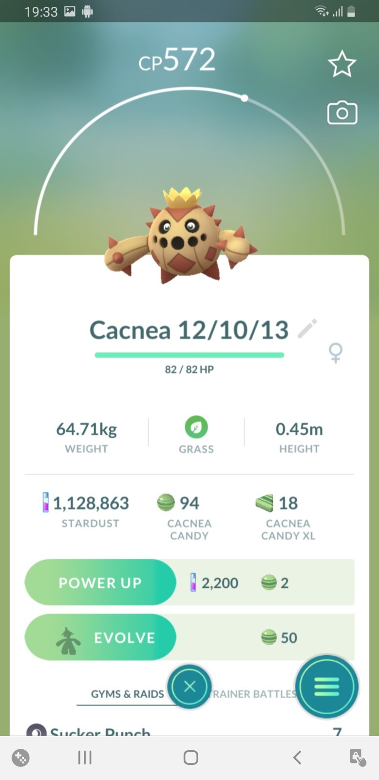 Shiny Cacnea