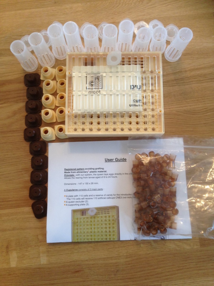 Queen Bee System