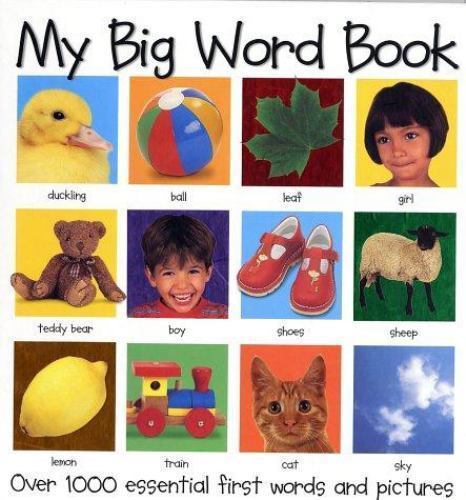My Big Word Book : Over 1000 Essential First Words and Pictures by ...