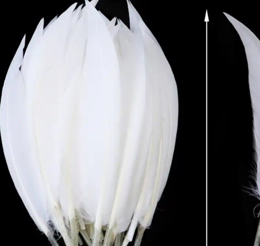 50pcs 10-15cm White Knife Goose Pointed Feathers DIY Cake Craft Dream ...