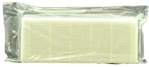 HEAT SURGE, LLC HS-30000062 Filter, Allergen RNG Fits 30000061 Small ...