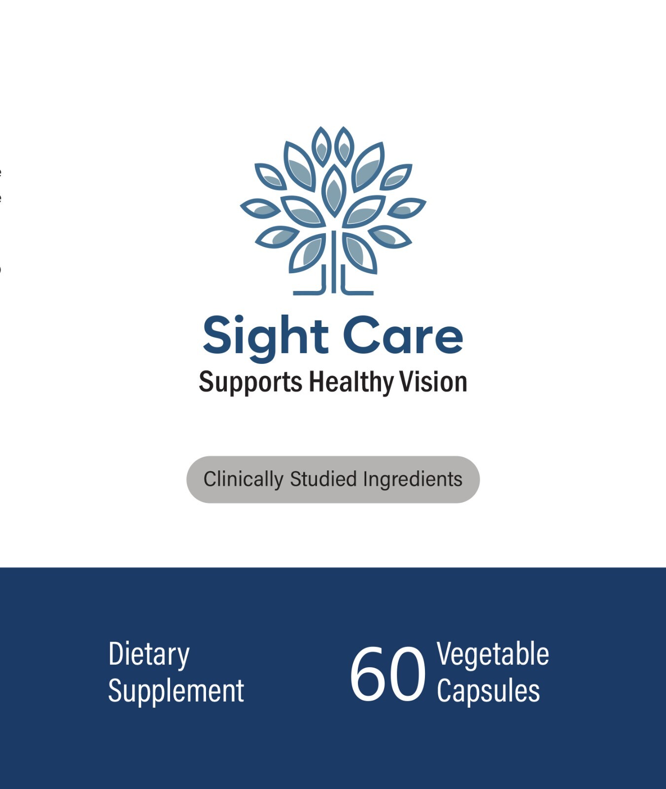 Sight Care Vision Supplement Healthy Eyesight Support - 60 Capsules | eBay