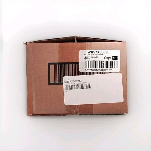 WR57X30890 GE ISOLATION VALVE AND JUMPER | eBay