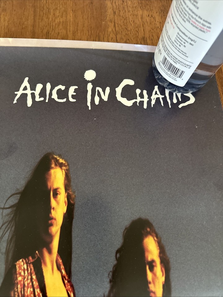 Rare Alice In Chains “On Tour” Poster 36” X 24” Mad Season Soundgarden ...