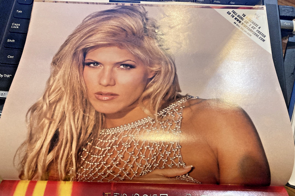 WWE Magazine RAW July 2002 Torrie Wilson Fishnet Poster Included 8.5 ...