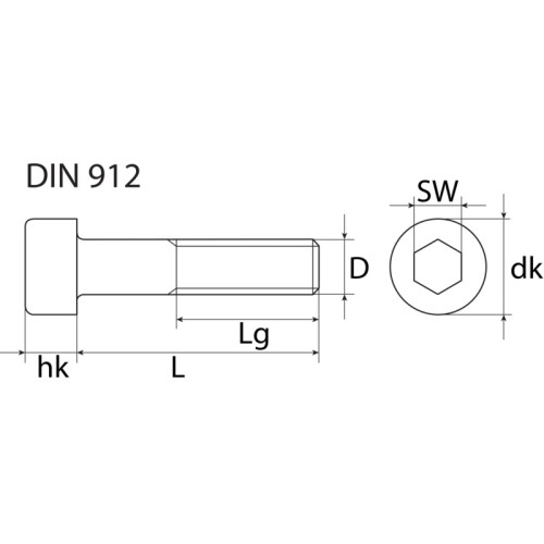 40x Gewindeschrauben IS Zylinderkopf Edelstahl A2 DIN 912 M6 x 30mm ...