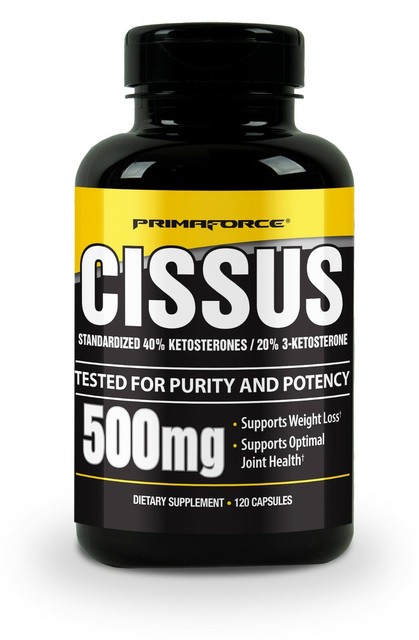 PrimaForce Cissus Recovery Formula 120 Vegetarian Capsules for sale ...