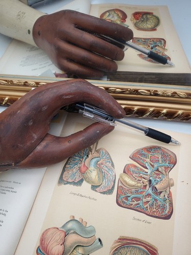 Antique Surgical Medical Leather Wood Prosthetic Arm Hand European ...