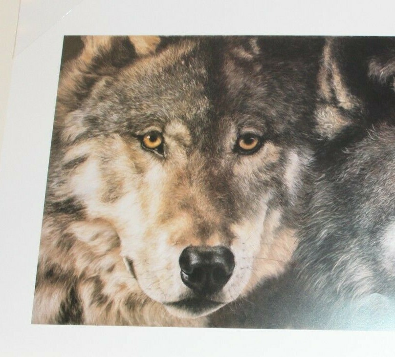 JUDI RIDEOUT "CLOSE ENCOUNTERS" -Limited Edition Print SIGNED, COA | eBay