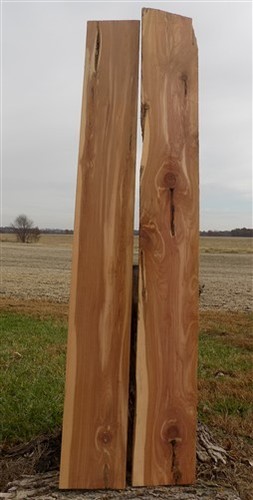 2 Raw Walnut Boards, Natural Unfinished Sawn Wood Lumber, Rustic ...