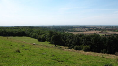 Photo 6x4 View over Howsham Wood Crambe On the path that heads south ...