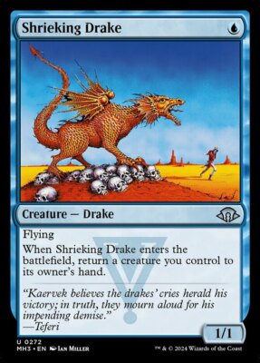 Shrieking Drake - Foil x1 - Modern Horizons 3 - NM-Mint, English ...
