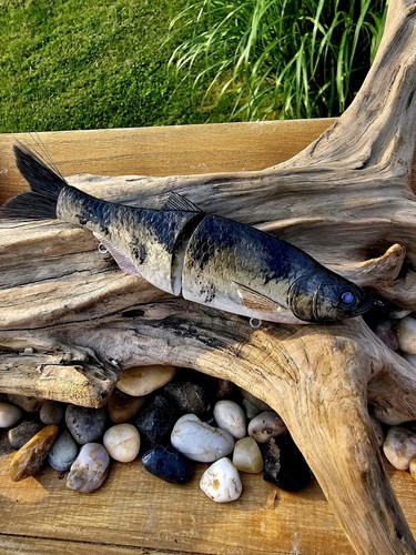 6 In Glide Swimbait Bass Musky Custom Painted Tackle box lure kgb style ...