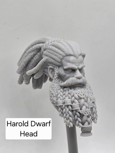 3d Printed HAROLD DWARF 1.0 Headsculpt For Mythic Legions 1/12 figure ...