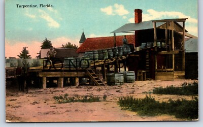 Postcard FL Turpentine Site Camp Occupational Barrels Horse Carriage ...