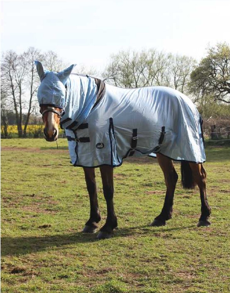PONY MESH FLY RUG Jump All In One Combo Fly Bug Sheet + Fly Mask and ...